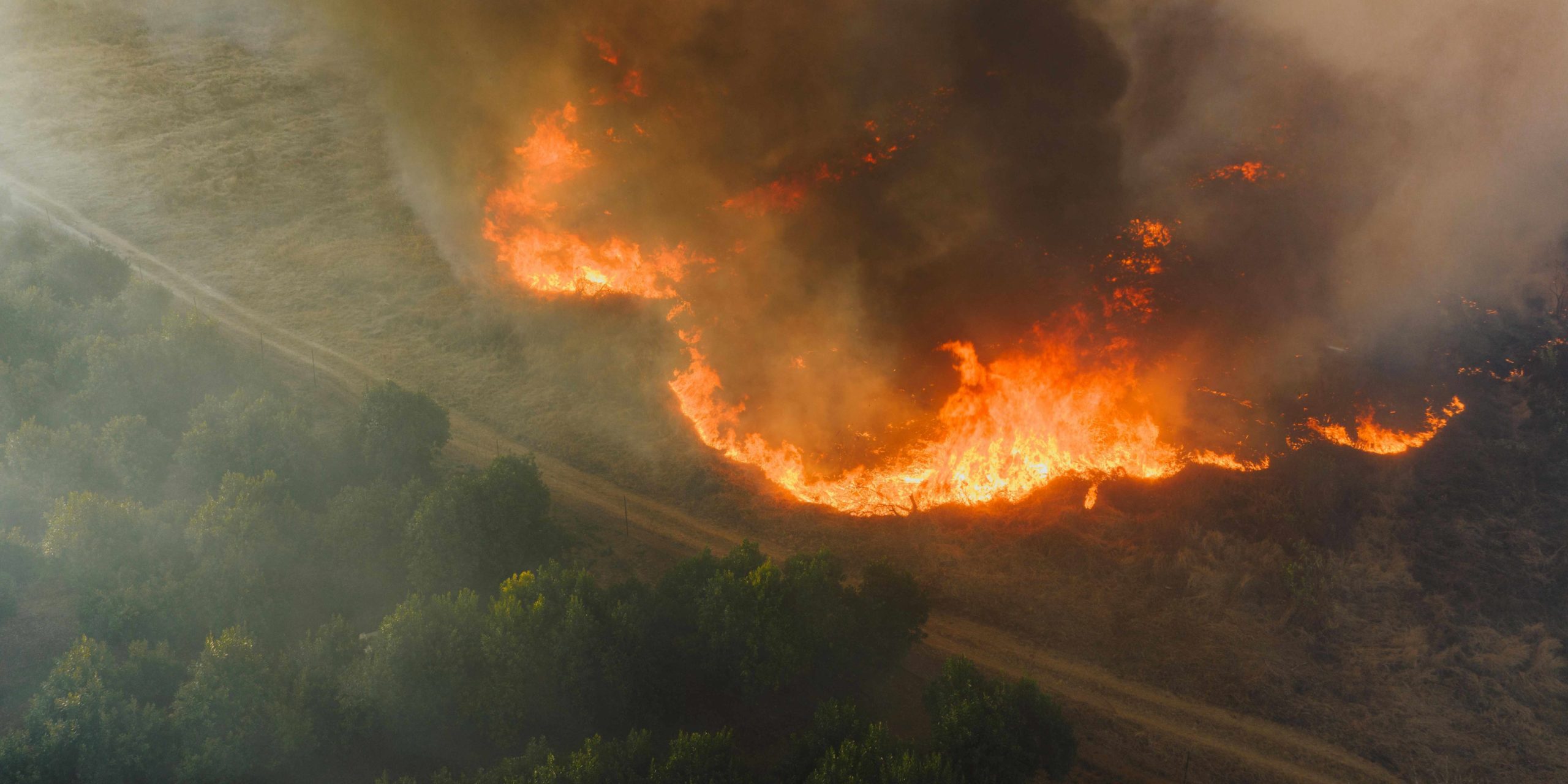 Hatmill announces the next phase of its Climate Contribution Strategy ...